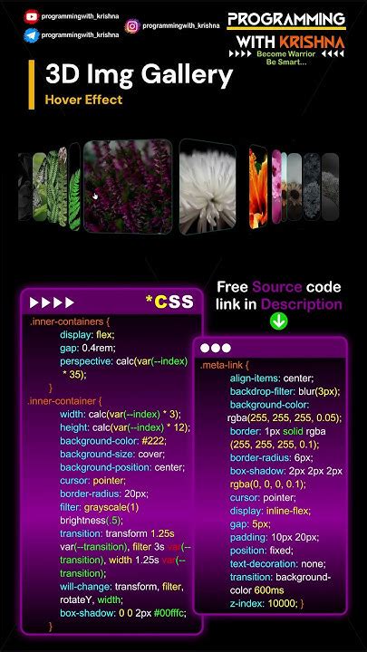 3d Image Gallery Hover Programmingwithkrishna Html Css Js