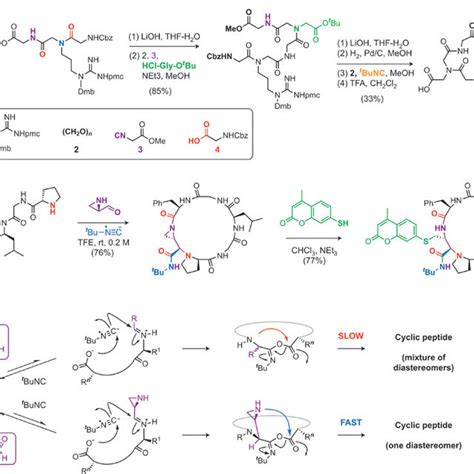 Conformational Control To Facilitate Peptide Macrocyclizationa