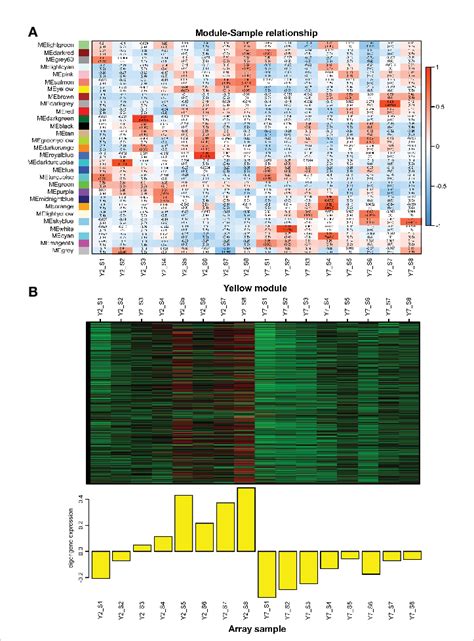 wgcna of rna seq data a module sample relationship b the