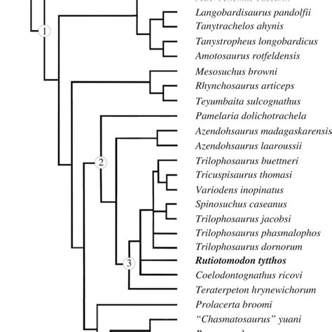 strict consensus of 40 trees recovered by parsimony analysis of the