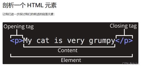 html的入门 csdn博客