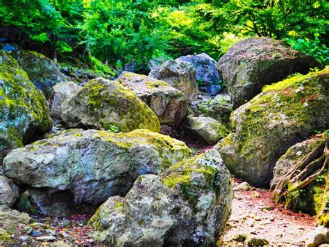 【向日葵の日を奪はんと雲走る】俳句の季語や意味･表現技法･鑑賞･作者など徹底解説 俳句の教科書｜俳句の作り方・有名俳句の解説サイト