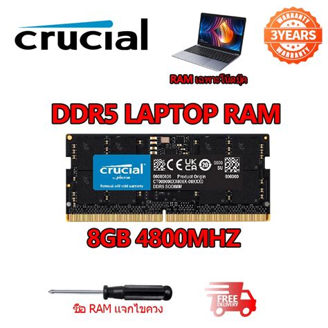 Crucial Ram Ddr5 Notebook 8gb 16gb 32gb แรม 4800mhz 5600mhz Sodimm 11v Crucial Ram Ddr5 Notebook 8gb 16gb 32gb แรม 4800mhz 5600mhz Sodimm 11v