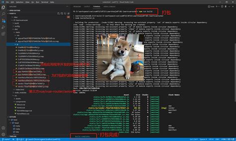 Vue基础知识总结 前端路由vue router 编程爱好者博客