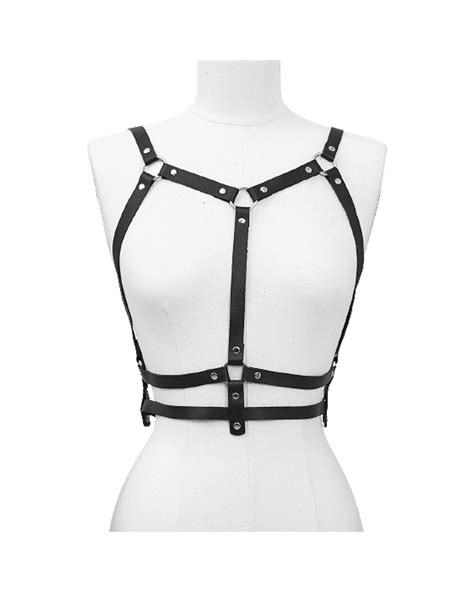 프론트 훅으로 산책 교정하는 강아지 하네스 추천 원 아이템 솔직히 후기 터닝포인트