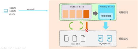mysql面试高频问题 undo log和redo log的区别 xiaolifc 博客园