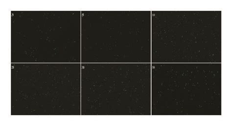 Cytotoxicity And Gene Transfection Efficiency Analysis Of The Peg Et