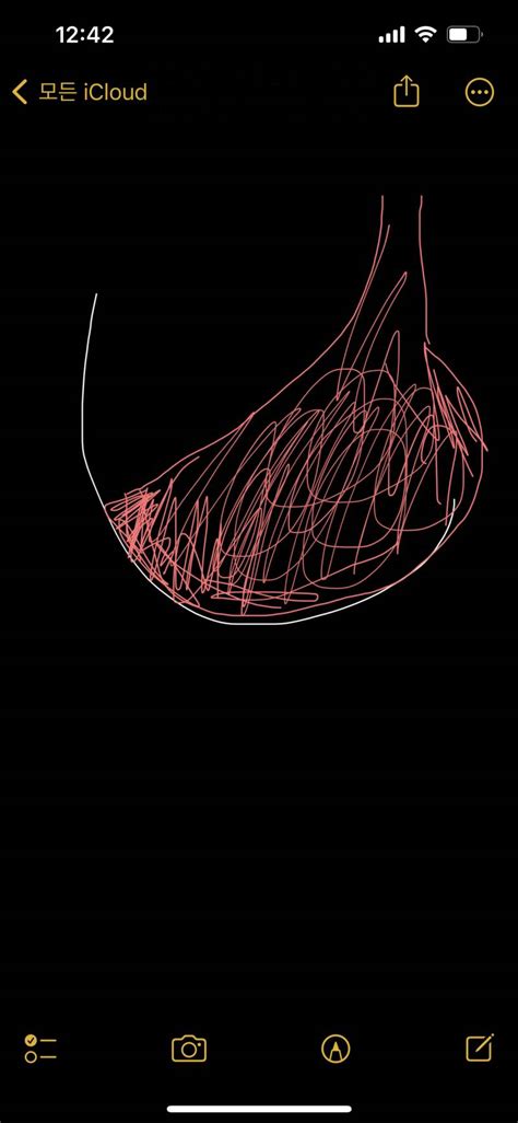 브라 입었을 때 일케 되면 사이즈 안 맞는 거지 인스티즈 Instiz 일상 카테고리