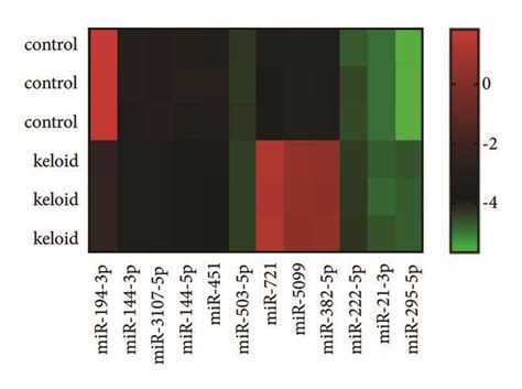 The Expression Of Mirna 194 3p Is Downregulated And Runx2 Can Be