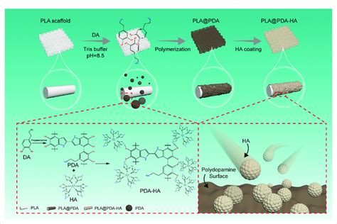 Schematic Illustration Of Surface Modification Process Of Download Scientific Diagram