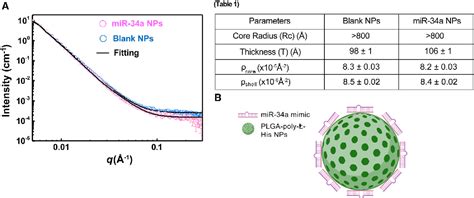 Figure 2 From Next Generation Poly L Histidine Formulations For Mirna