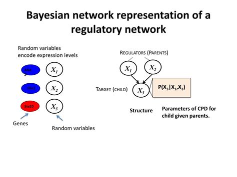Ppt Bayesian Networks For Modeling Gene Expression Data Powerpoint