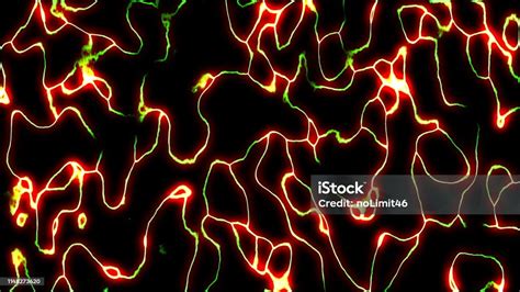 전기 화학 신호 3d 렌더링을 보내는 빛나는 시 냅 스 및 뉴런 세포와 신경 세포의 개념적 그림 알츠하이머병에 대한 스톡 사진 및 기타 이미지 Istock