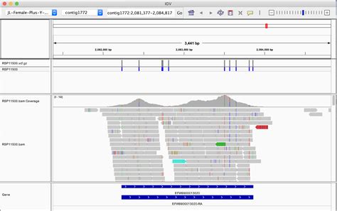 How To Get Started Using Igv