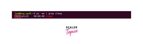 What Is Exec Command In Linux Scaler Topics