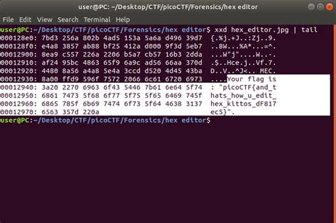 Picoctf 2018 Hex Editor Challenge