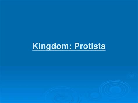 Ppt Kingdom Protista Powerpoint Presentation Free Download Id 9129386