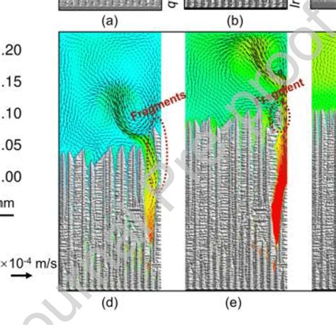 Effects Of The Cooling Condition On Lateral Wall On The Dendritic Download Scientific Diagram
