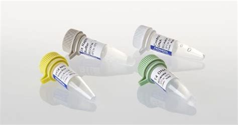 Pgem® T Easy Vector Systems