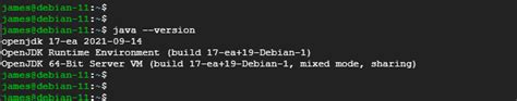 How To Install Java 17 Lts Jdk 17 On Debian 11 Linuxways