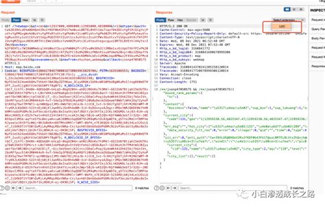 武装你的 Burp Suite 好用插件分享 Xor0ne 博客园