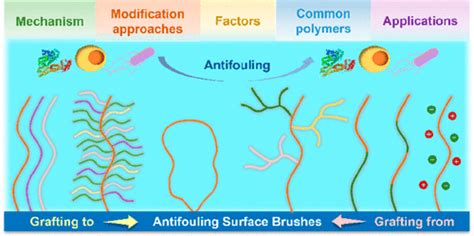 Acs Applied Polymer Materials Vol 6 No 1 Acs Publications
