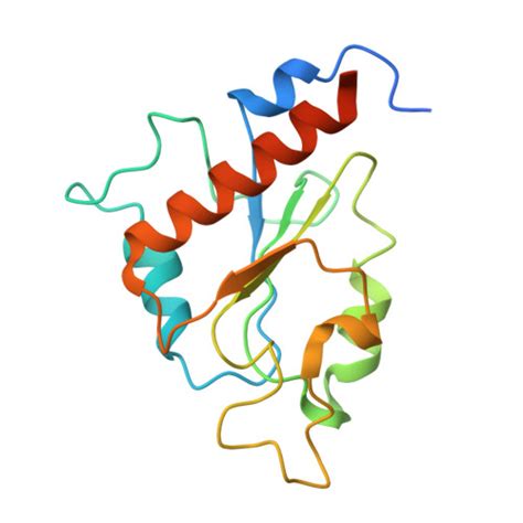 Rcsb Pdb 6cfw Cryoem Structure Of A Respiratory Membrane Bound Hydrogenase
