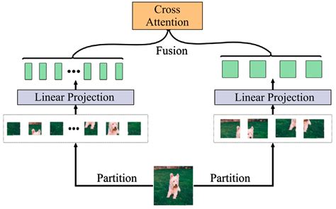 Comparative Analysis Of Vision Transformer Models For Facial Emotion Recognition Using Augmented