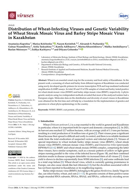 Pdf Distribution Of Wheat Infecting Viruses And Genetic Variability Of Wheat Streak Mosaic