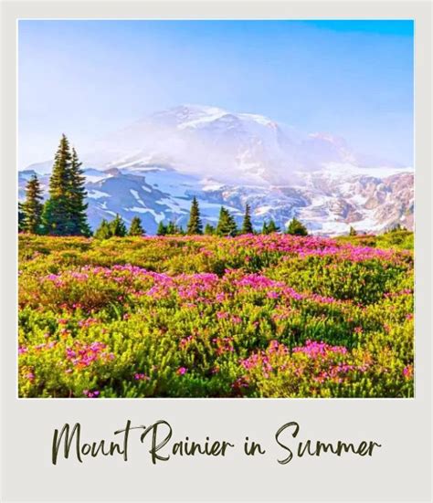 When Is The Best Time To Visit Mount Rainier National Park