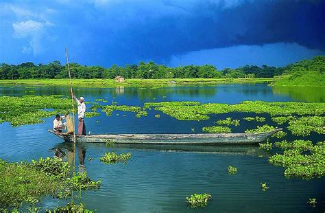 Majuli Tourism 2026 Assam Top Places Travel Guide Holidify