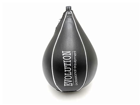 Evolution Punching Ball Evolution Pro Equipment