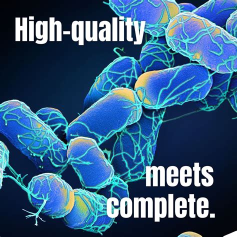 Oxford Nanopore Technologies On Linkedin Workflow Aav Sequencing Oxford Nanopore Technologies