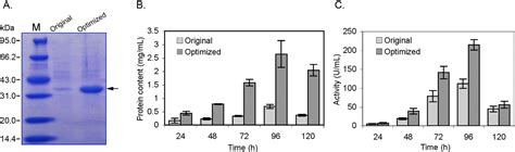 Figure 1 From A Simple And Accurate Two Step Long DNA Sequences Synthesis Strategy To Improve