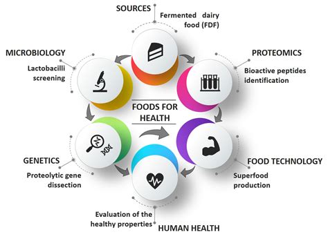 Products Fermented With Lactic Acid Bacteria At Dale Armour Blog