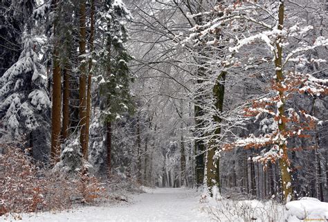 Обои Природа Зима обои для рабочего стола фотографии природа зима простор Обои для рабочего