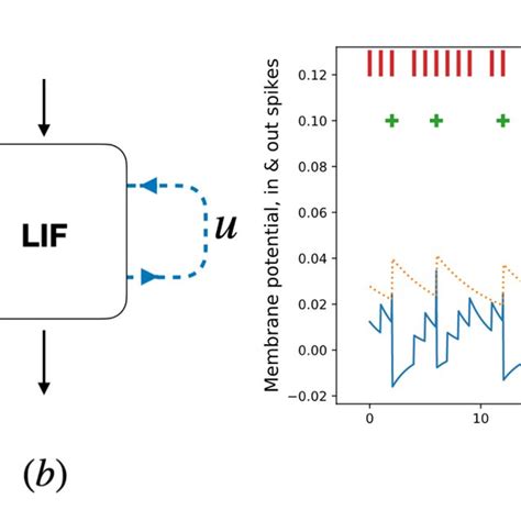 Lif And Adaptive Spiking Neuron Behaviour Ac Impinging Input Spikes
