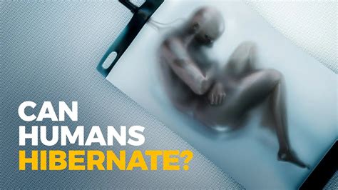 The Insane Evolution Of Hibernation Classx The Insane Evolution Of Hibernation Classx