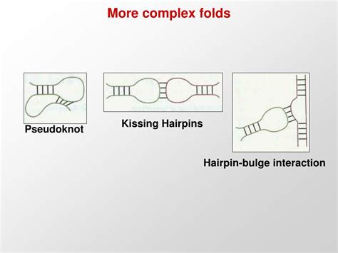 PPT RNA Secondary Structure PowerPoint Presentation Free Download ID