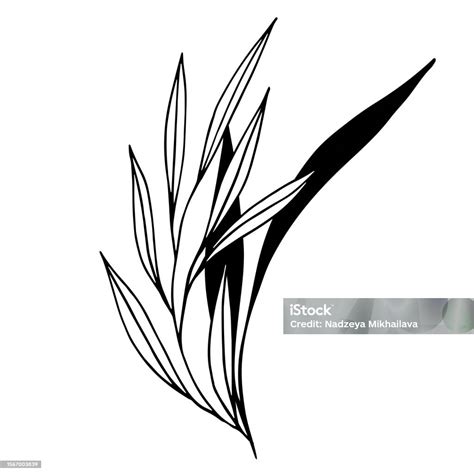 벡터 식물 그림 나뭇잎과 꽃이 있는 나뭇가지 윤곽선과 실루엣 정원 들판 초원 야생 식물이 꽃다발 컬렉션에 수집되었습니다 흰색 배경에 분리된 벡터 그림 0명에 대한 스톡 벡터