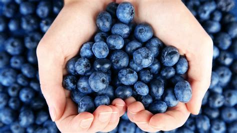 M E P V Aprendiendo A Crecer Ocho Alimentos Que Protegen La Salud De