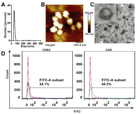 文献解读丨肺特异性外泌体用于非小细胞肺癌中mirna 126的传递 知乎