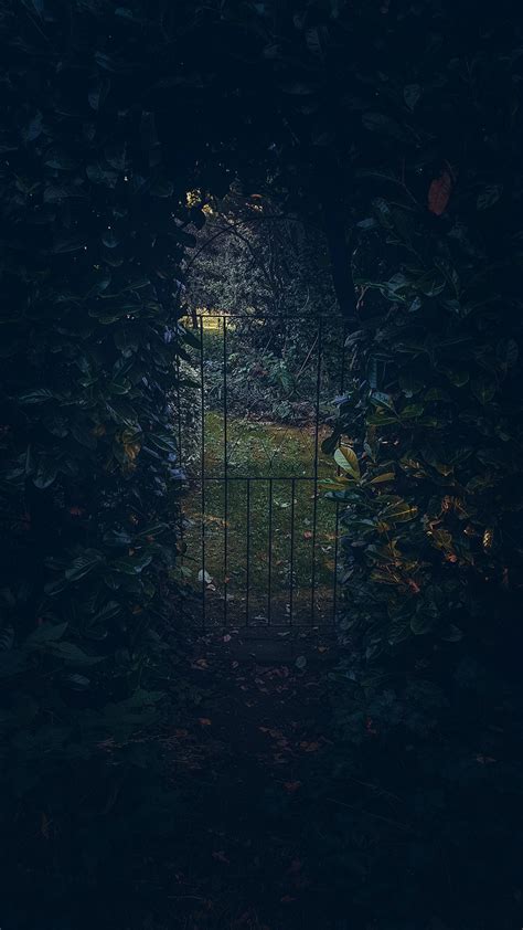 Kirby And The Chao Sneak Peak R Kirby