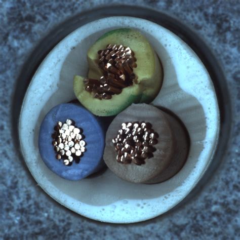 Gentlemenofsaclay Anomaly Detection Image At Main