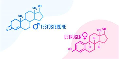 What Are Sex Hormones Why Are They Named So State Their Function