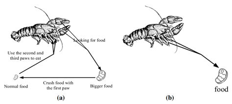多目标优化算法（matlab）：多目标小龙虾优化算法（multi Objective Crayfsh Optimization Algorithm，mocoa）求解46个多目标函数及1个工程