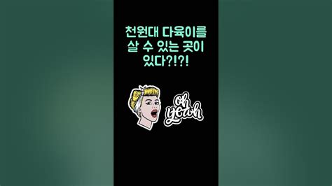 1000원대에 다육이를 살 수 있다구 다육식물 다육이 다육 다육이저렴한곳 엑스플랜트 Plants 희귀다육 반려