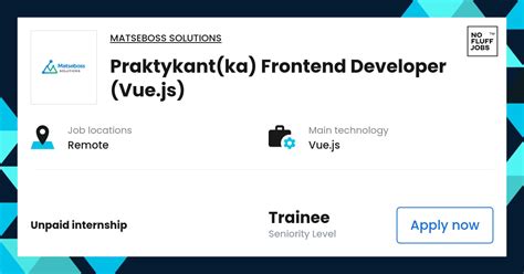 Praktykantka Frontend Developer Vuejs Job Frontend Matseboss