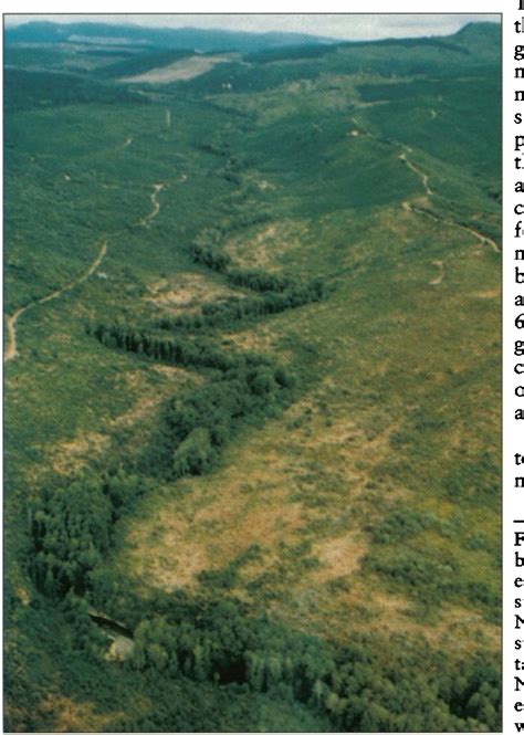 Figure 3 From Microclimate In Forest Ecosystem And Landscape Ecology Variations In Local Climate