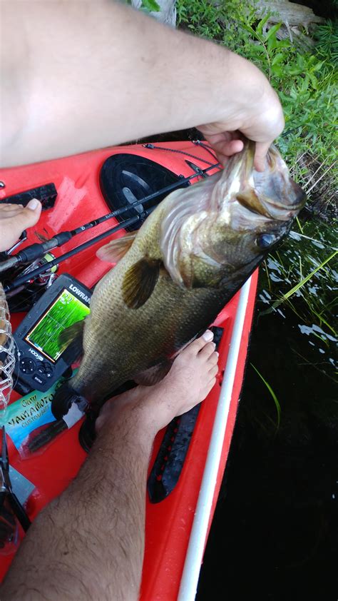 New Pb Largemouth Bass Rfishing